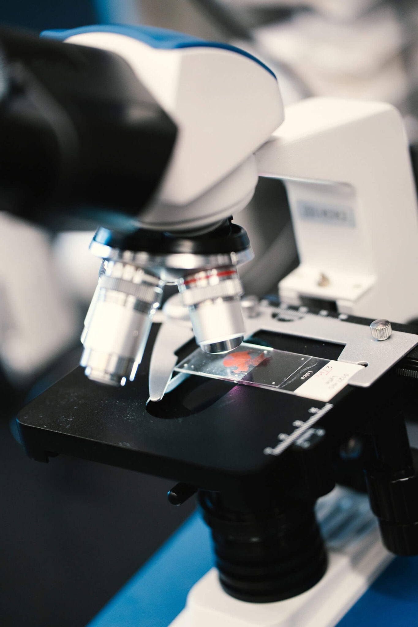 Clinical Trials - Seena Magowitz Foundation